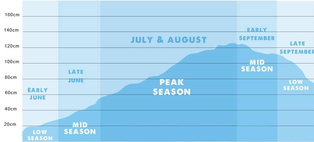 Plan Your Trip Winter - Falls Creek Alpine Resort