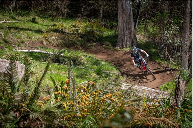 MTB Trail Naming Comp Winners! - Falls Creek Alpine Resort