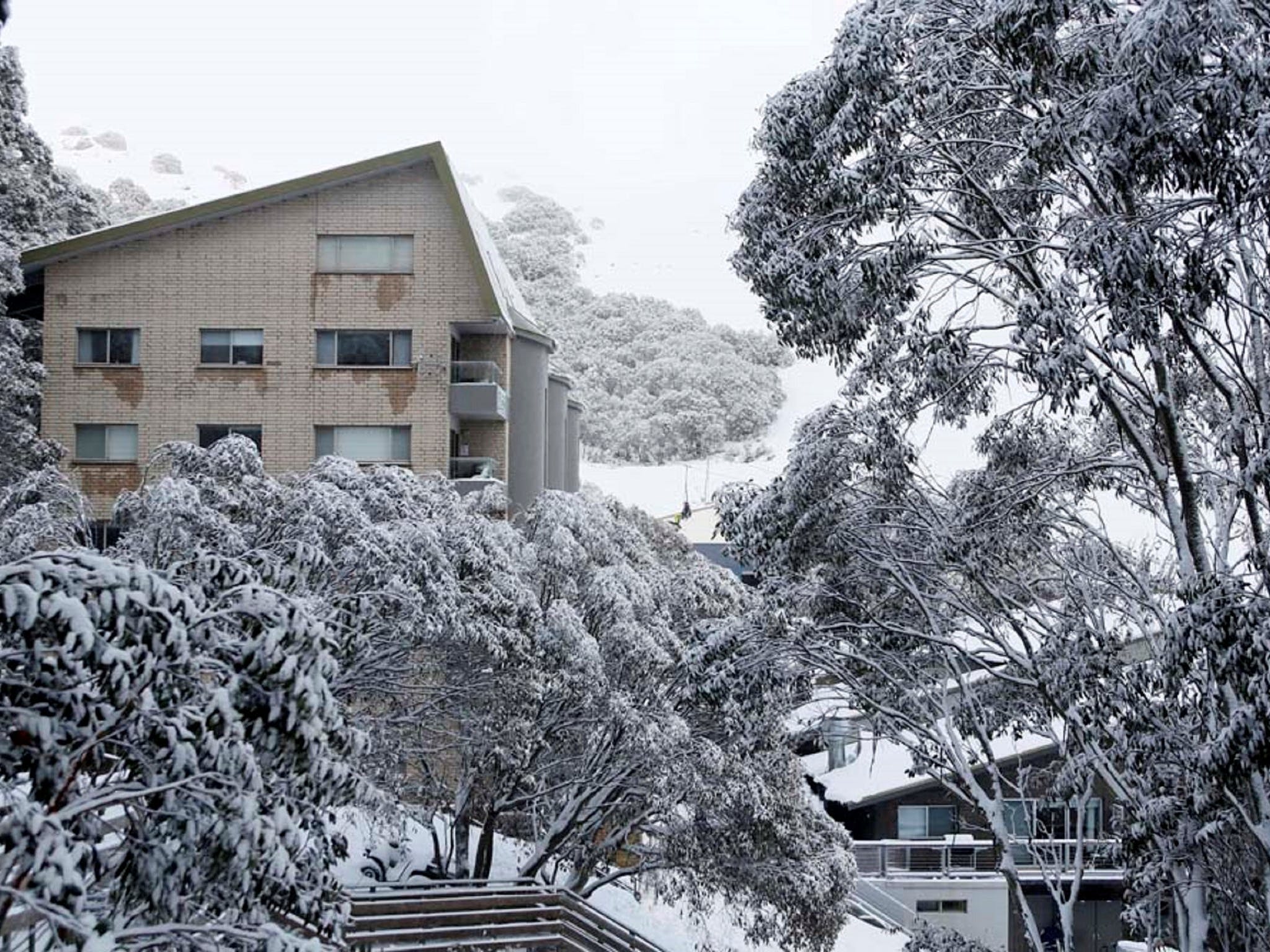 Alpine View Apartments - Falls Creek Alpine Resort