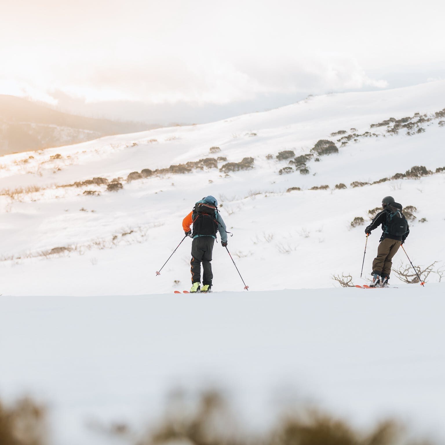 Falls Creek Backcountry Tours - Falls Creek Alpine Resort
